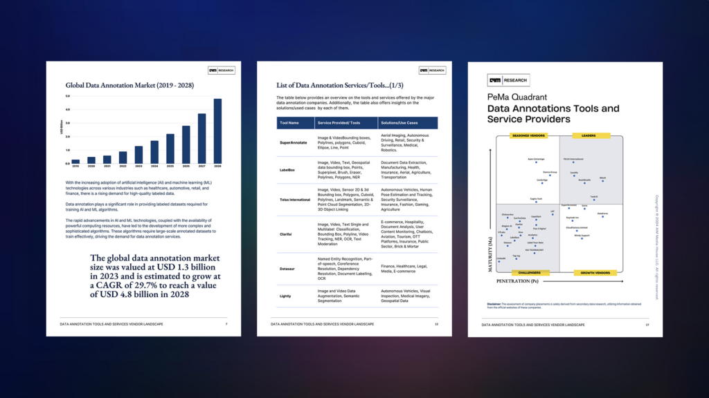 Data Annotation Tools and Services Vendor Landscape - 2024